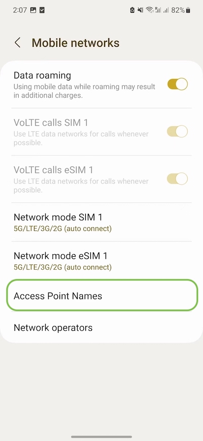 eSIM User Manual